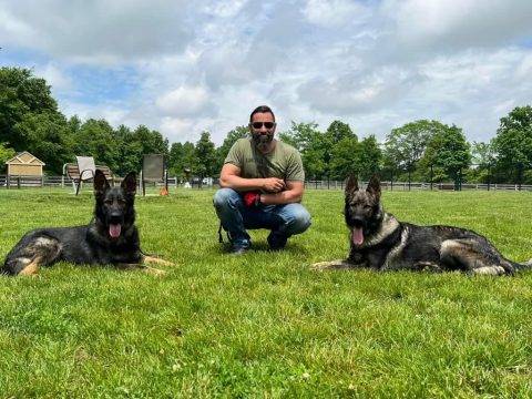 EliteProtectionDogs – Family & Personal Protection Dogs for Sale