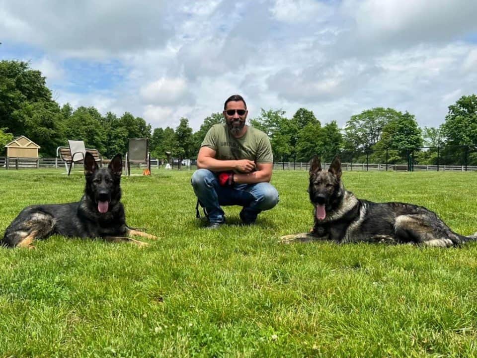 EliteProtectionDogs – Family & Personal Protection Dogs for Sale