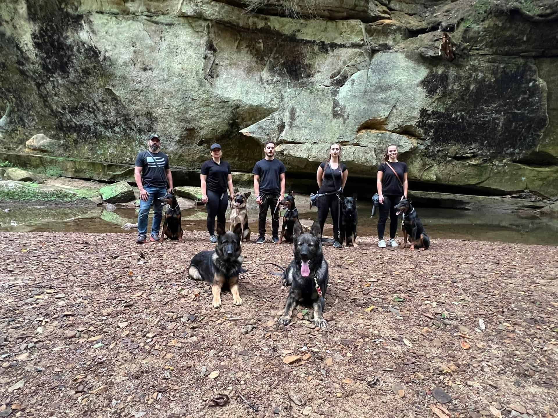 WELCOME – Elite Protection Dogs