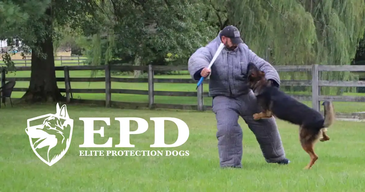 Elite Personal Protection Dog – Elite Protection Dogs