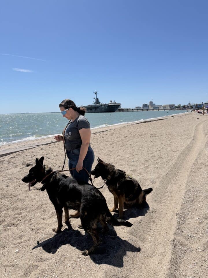 Protection Dog Stalker Threat Response Training Guide